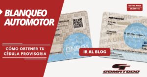 Cédulas de Auto: Verde, Azul y Poseedor | SuperAuto
