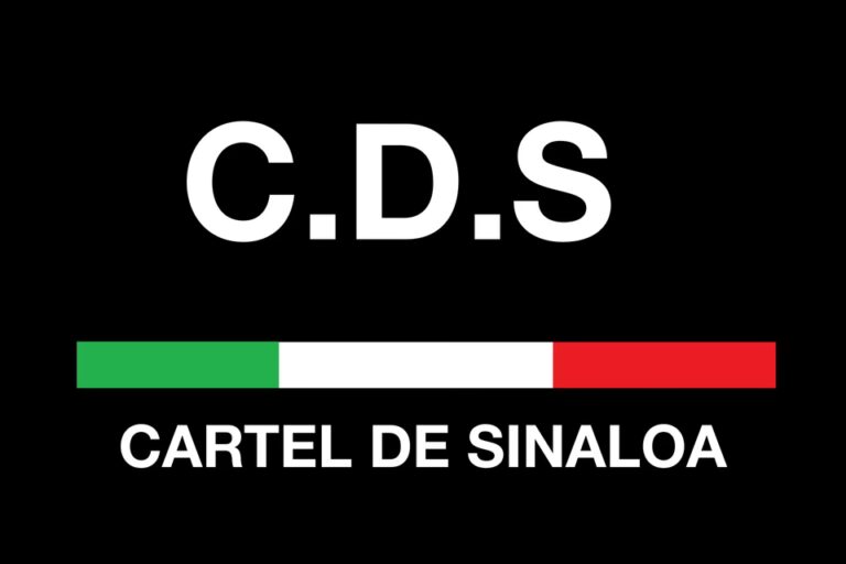 Cártel De Sinaloa Cds Su Historia E Impacto Superauto