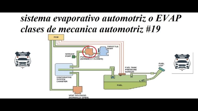 Fallas del Sistema EVAP: Qué Sucede y Cómo Detectarlas | SuperAuto